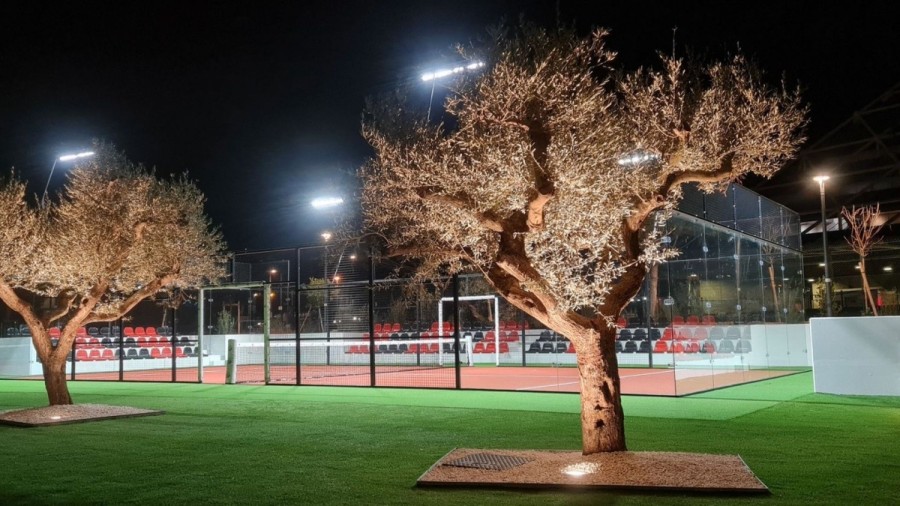 l'Essentiel Nice : newsletter du 26 janvier 2026